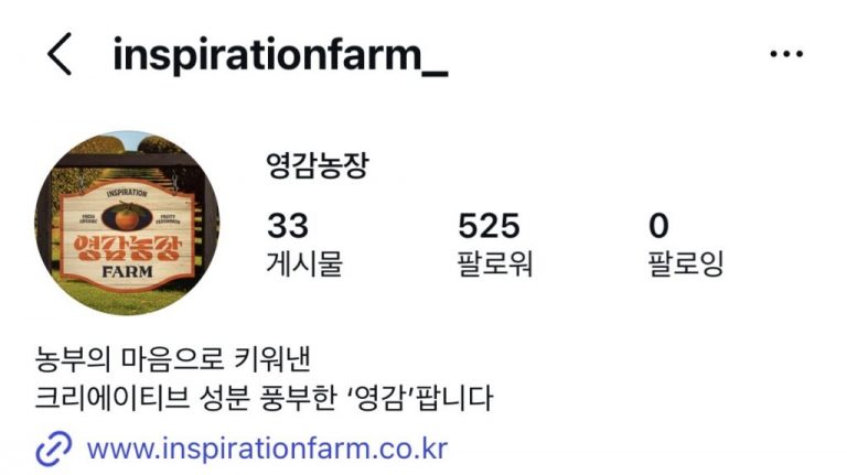 [오늘의 소마코 콕] 마케팅 영감이 고갈됐다면? 레퍼런스할 인스타그램 계정 추천 7 - 모비인사이드 MOBIINSIDE